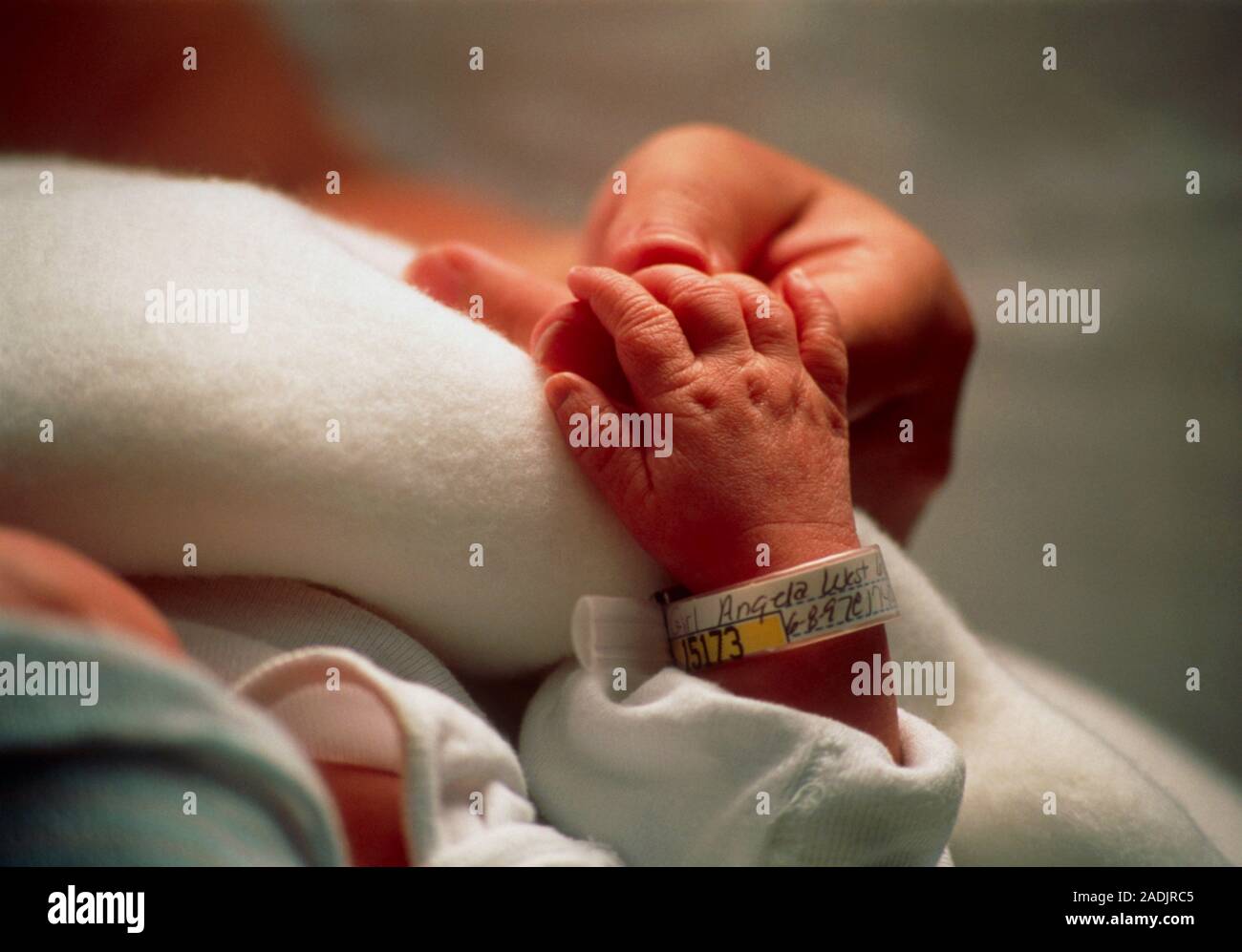 Baby identification tag. Hospital identification tag around the wrist ...