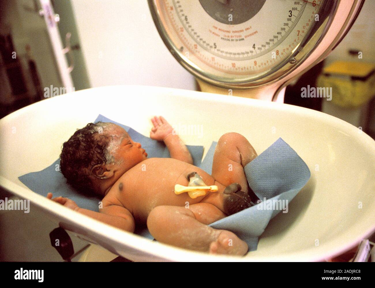 Baby weighing. Healthy newborn baby boy lying on a weight scale being ...