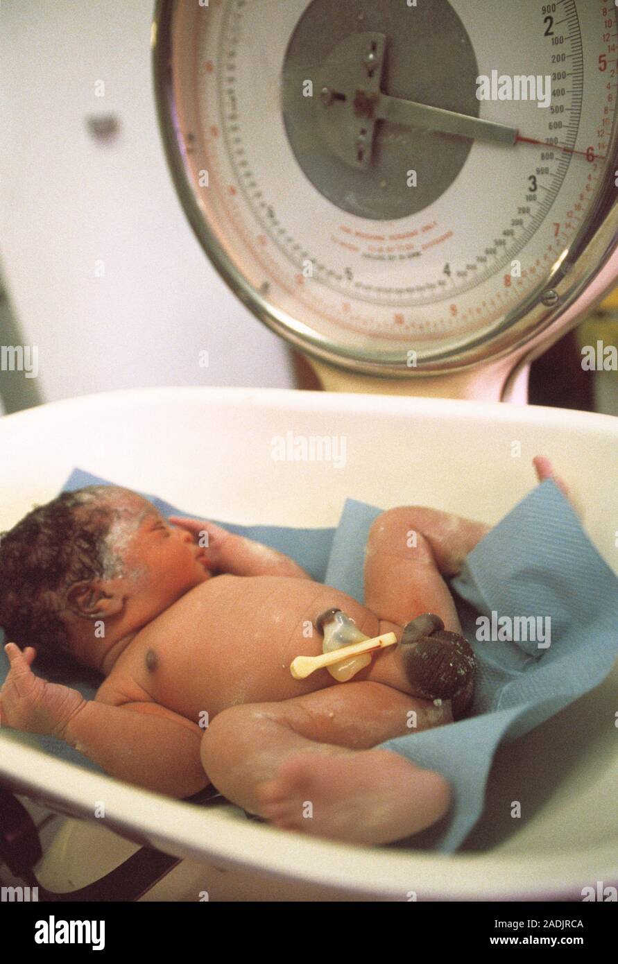Baby weighing. Healthy newborn baby boy lying on a weight scale being ...