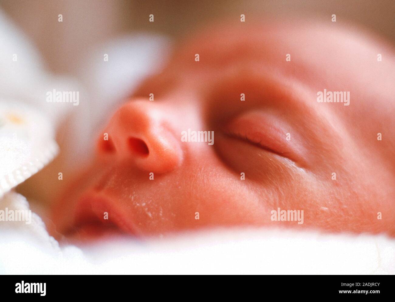 Newborn baby. Face of a sleeping newborn baby girl Stock Photo - Alamy