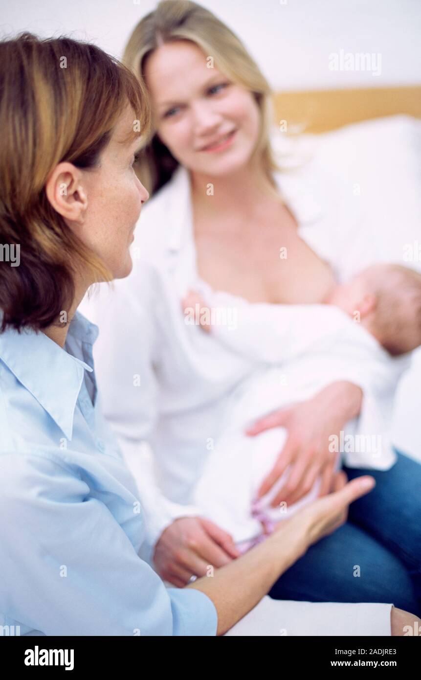 MODEL RELEASED. Postnatal care. Health visitor discusses childcare with ...