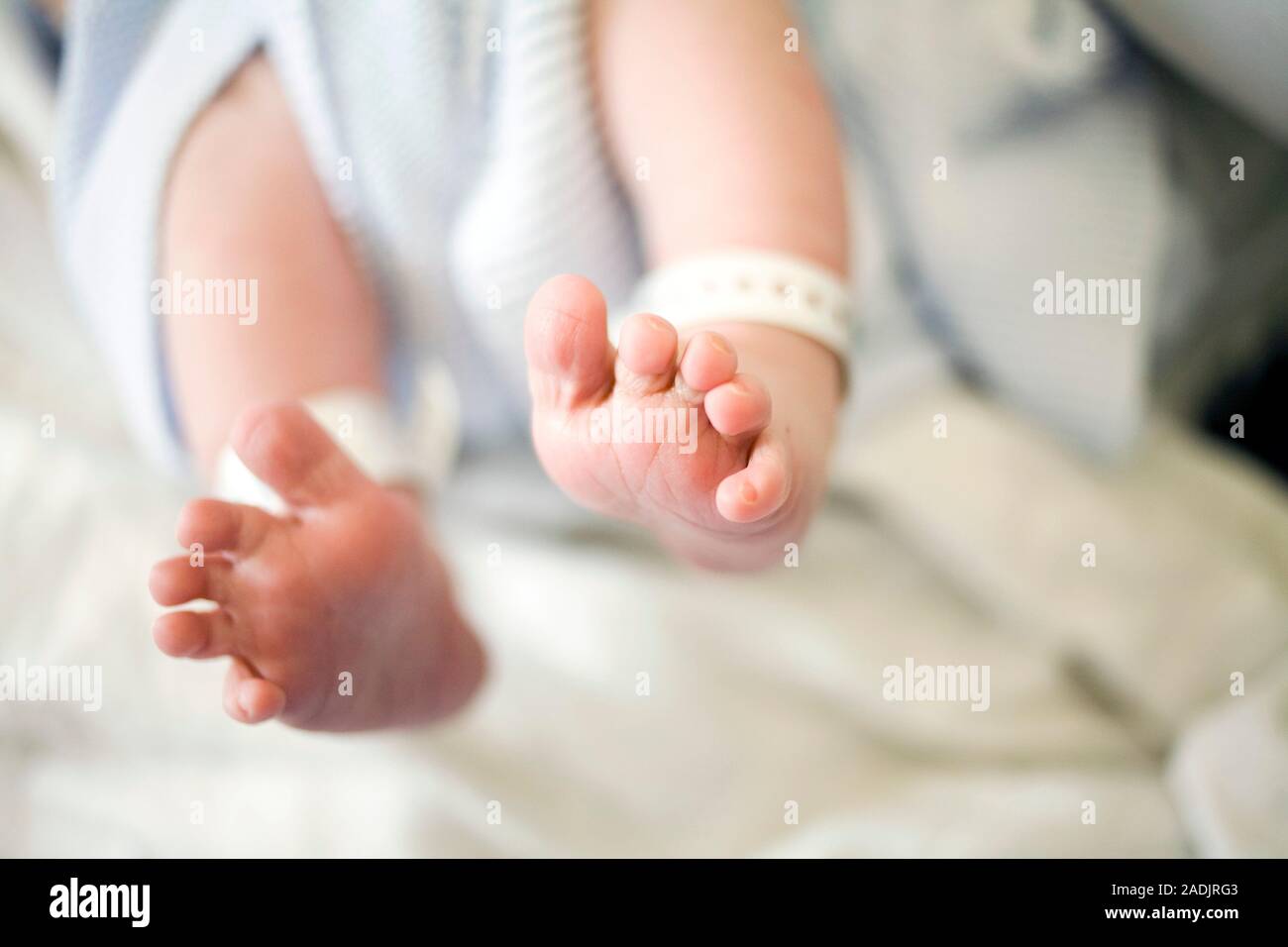 MODEL RELEASED. Newborn baby's feet. Tagged feet and curled toes of a ...