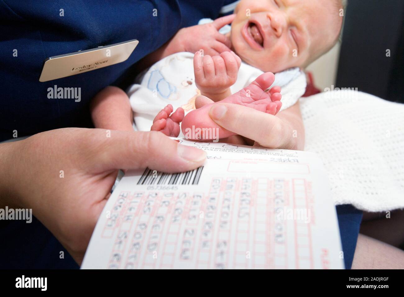 MODEL RELEASED. Neonatal blood screening. Midwife on a home visit ...