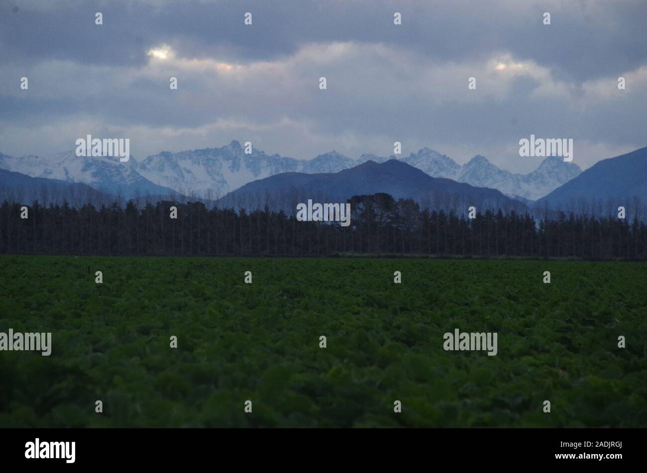 Inland Scenic Route Route 72. Te Araroa Trail. South Island. New ...