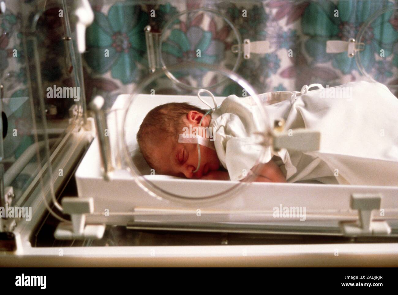 Slightly premature baby girl (2 weeks premature and weighing 5lbs. 3ozs ...
