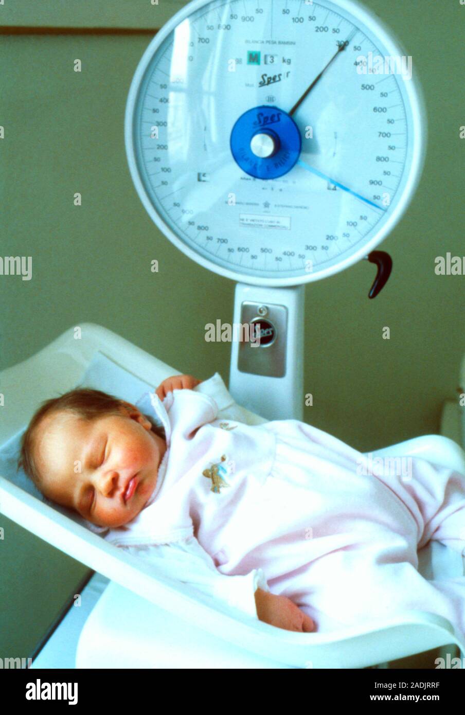 Premature baby. View of a premature baby being weighed in specially ...