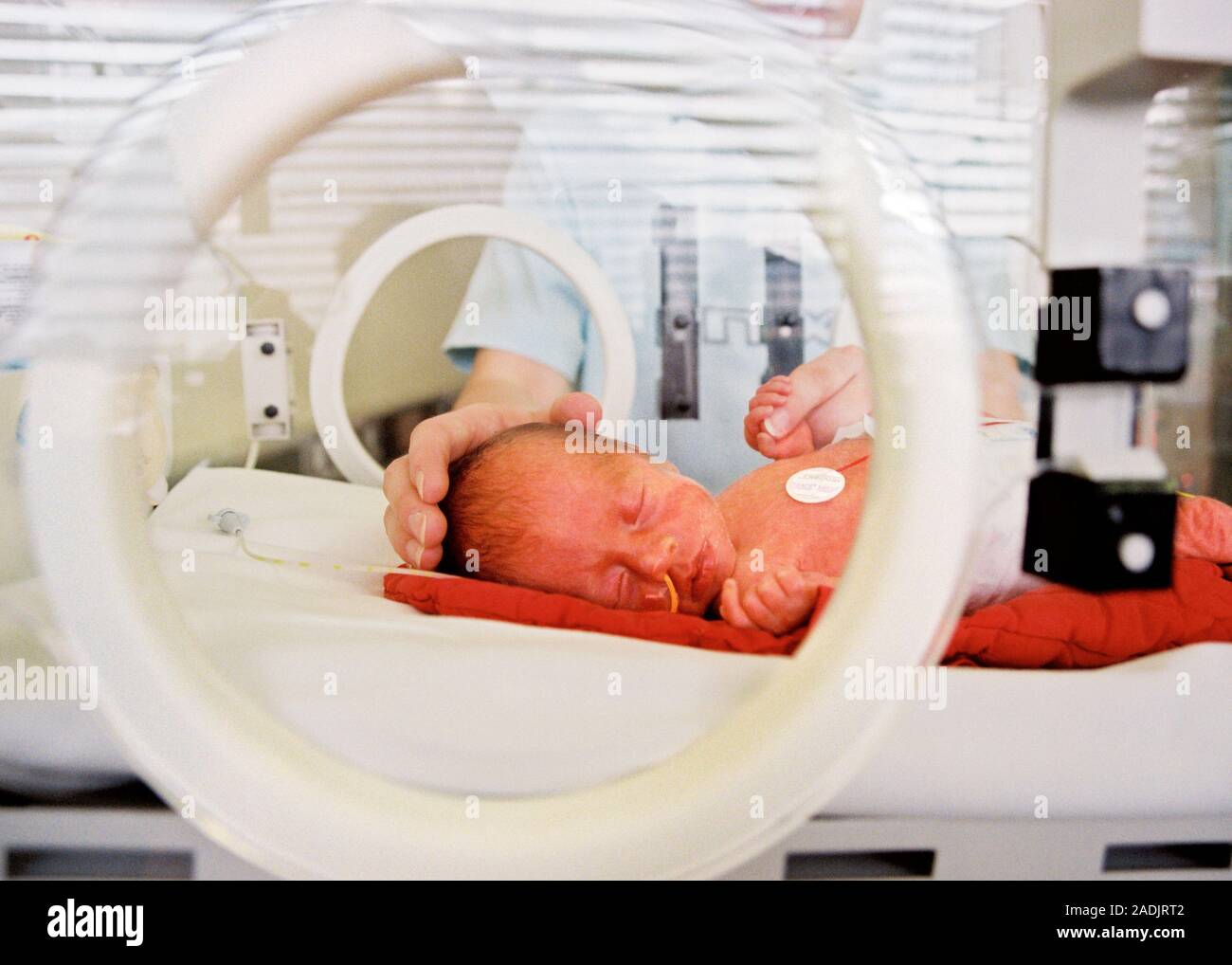 Premature baby in an incubator. Babies born before 37 weeks of ...