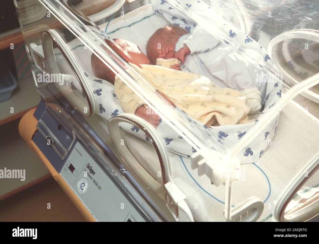 Newborn babies in an incubator. The incubator provides the infants with ...