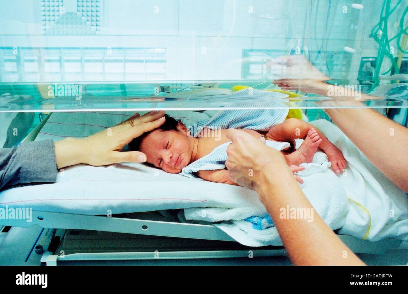 Premature baby boy. Nurse's hands and mother's hand with a baby boy ...