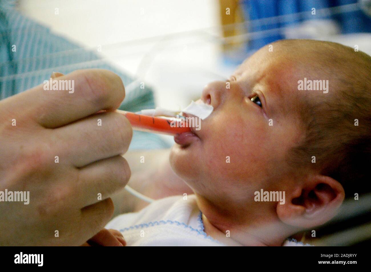 MODEL RELEASED. Premature baby. Nurse giving a premature baby glucose ...