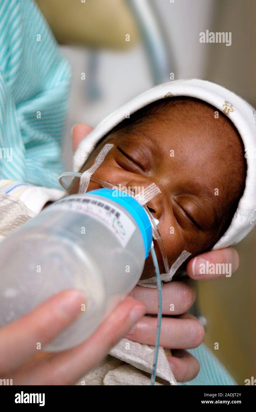 MODEL RELEASED. Premature baby. Nurse bottle- feeding a premature baby ...