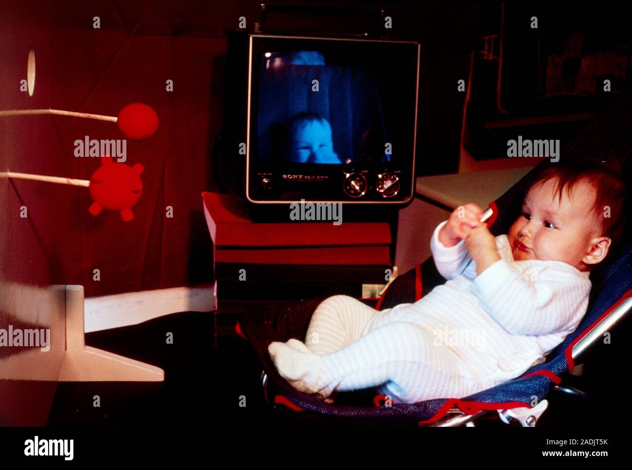 Infant psychology research: young infant undergoing visual ...
