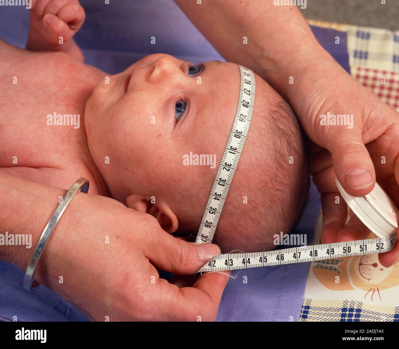 Head measurement. Hands of a health visitor using a tape measure to ...