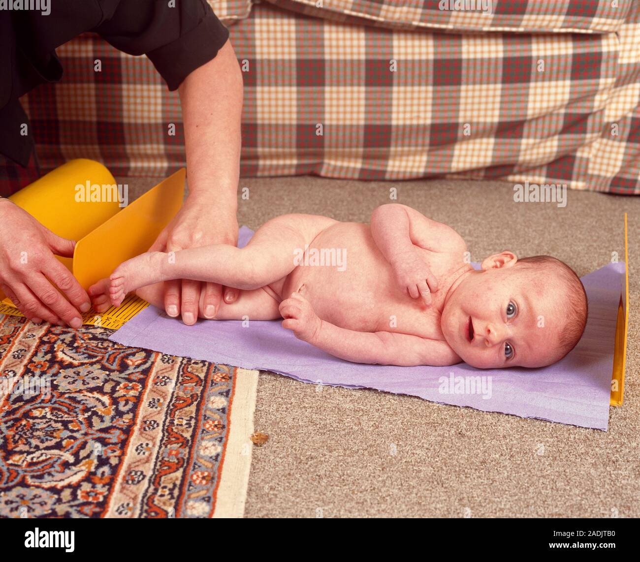 Baby length measurement. Health worker measuring the length of a one ...