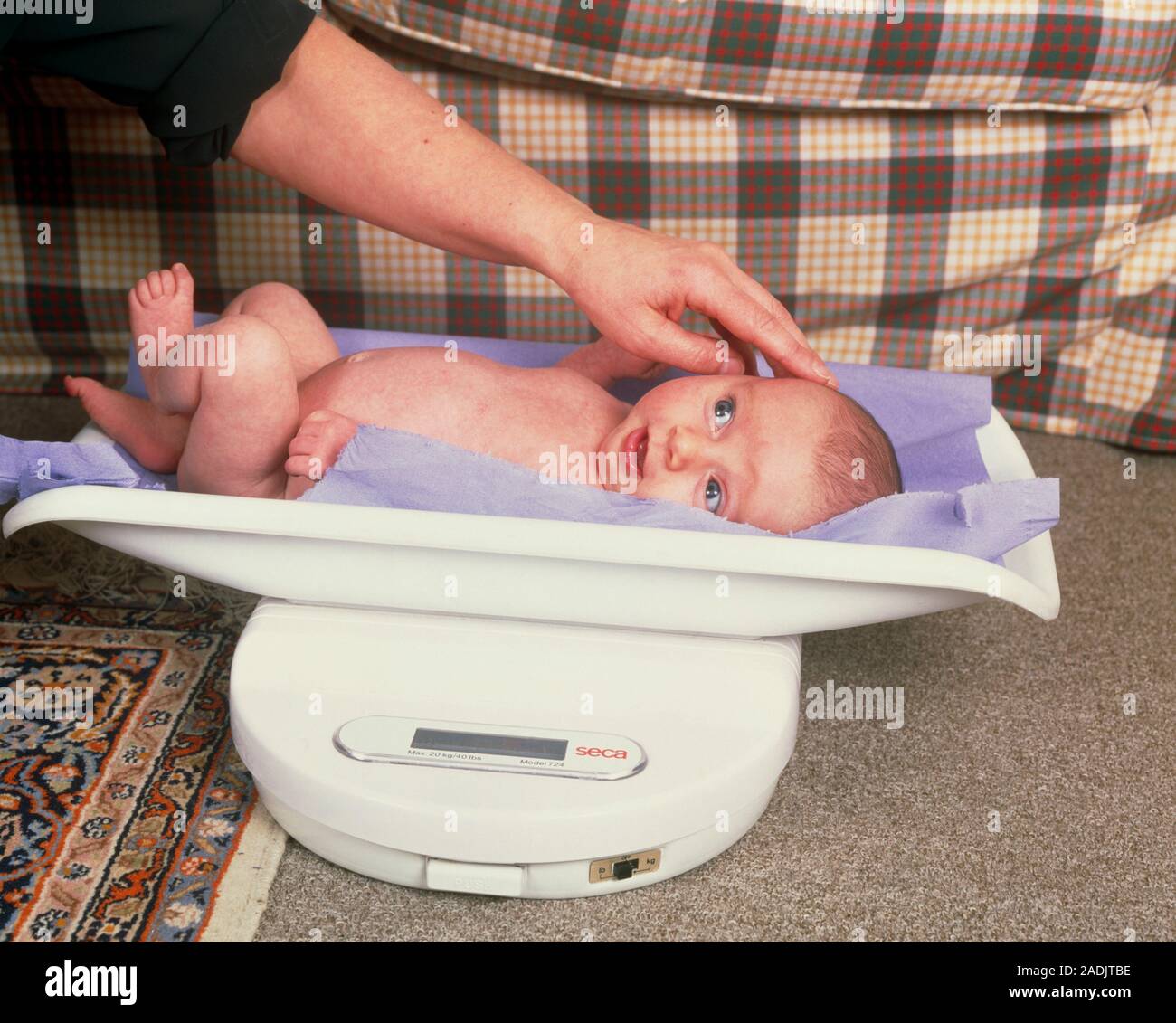 Weight measurement. A health visitor's hand uses specially adapted ...