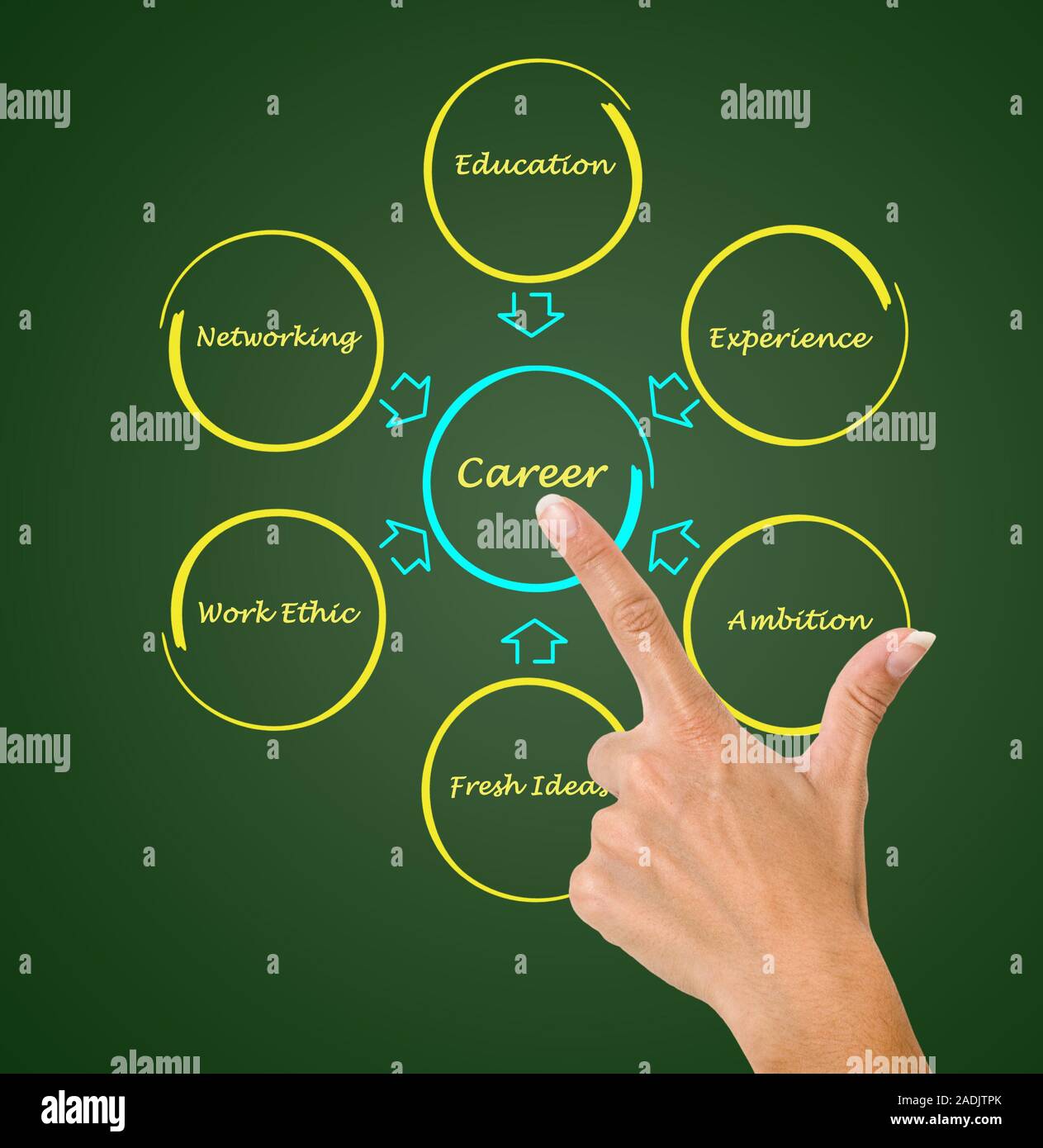 Diagram of career success Stock Photo - Alamy