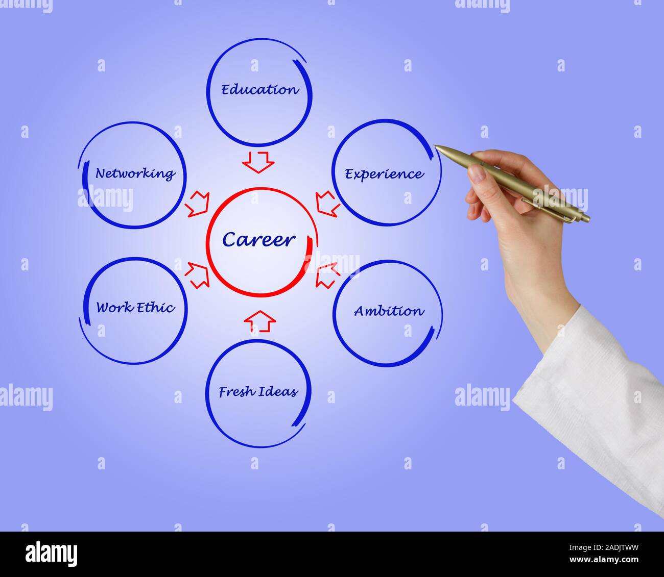 Diagram of career success Stock Photo - Alamy