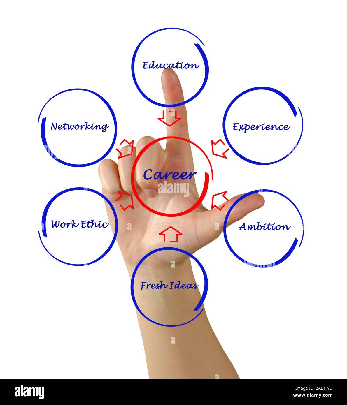 Diagram of career success Stock Photo - Alamy