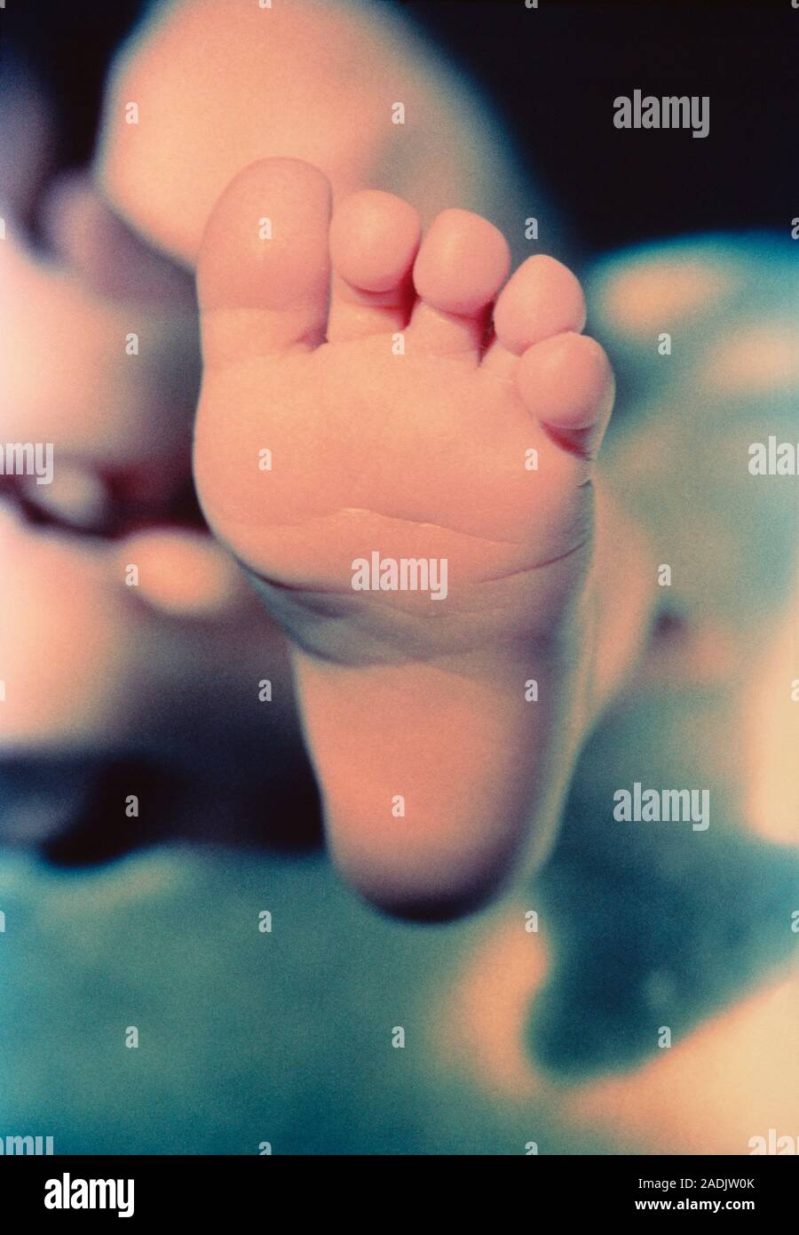 Baby's foot. The foot of a 19-day-old baby Stock Photo - Alamy