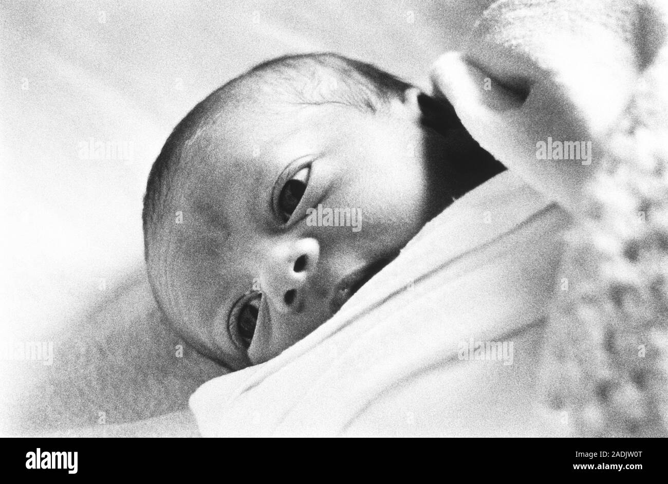 Baby girl. Face of a one-week-old baby girl Stock Photo - Alamy