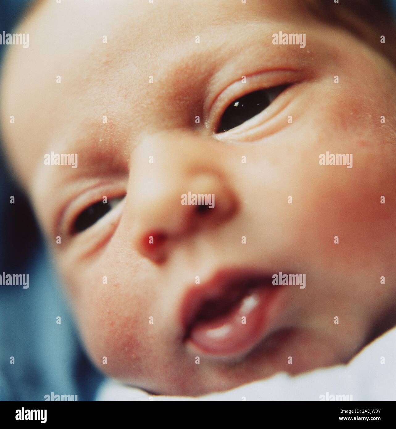 Baby boy. Face of a three-week-old baby boy Stock Photo - Alamy