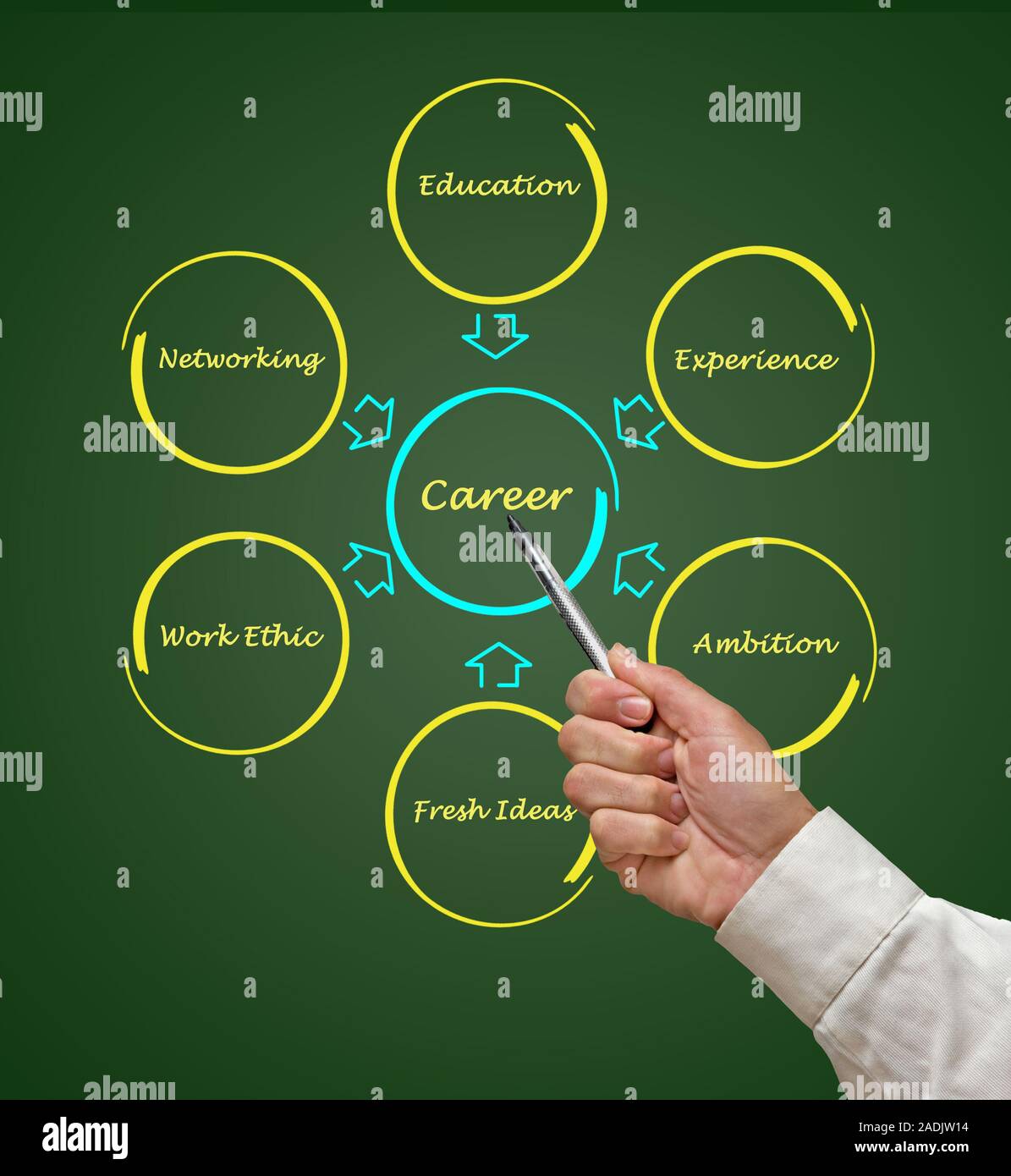 Diagram of career success Stock Photo - Alamy