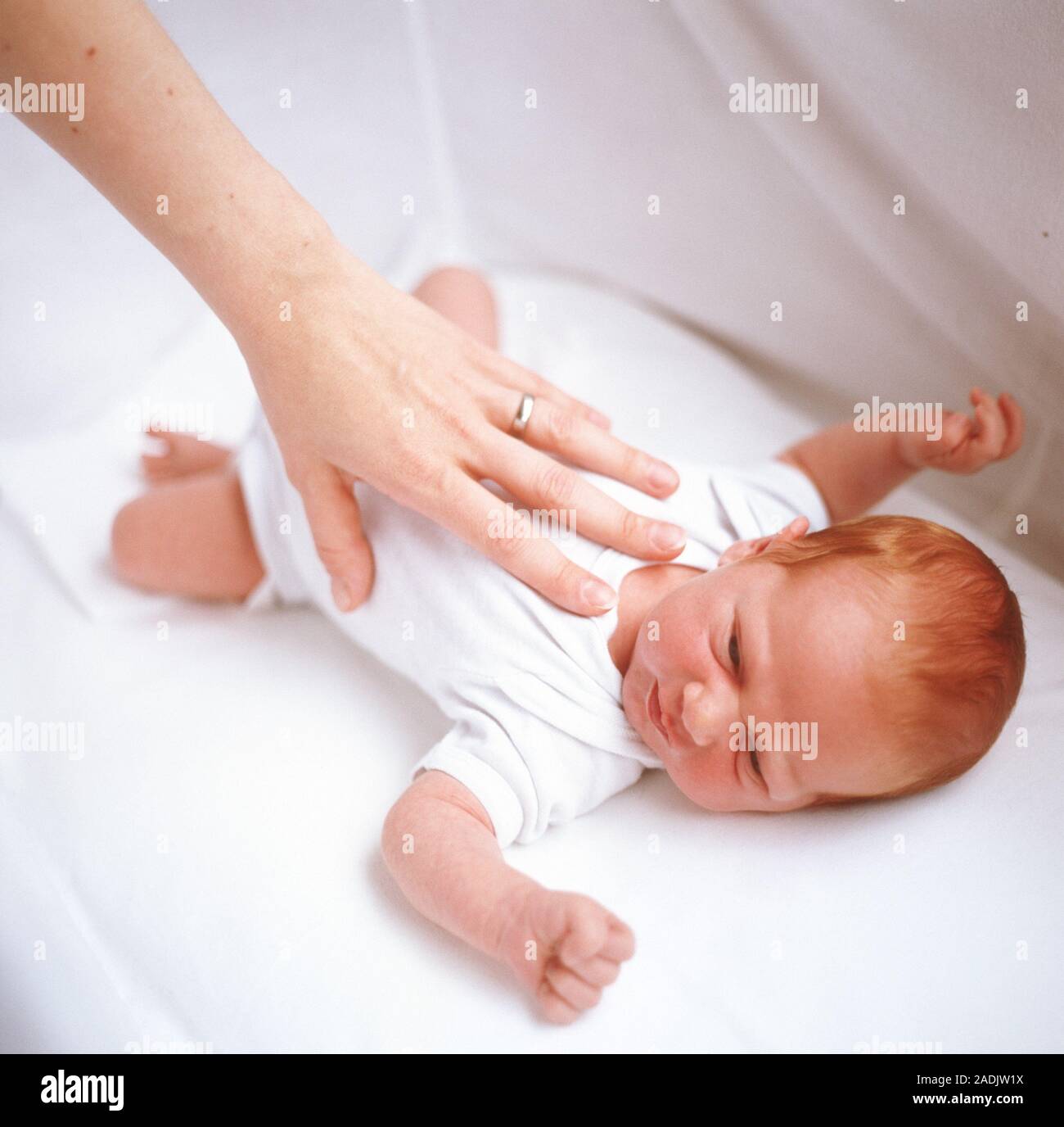 Baby boy being comforted by his mother's hand. He is 2-3 weeks old ...