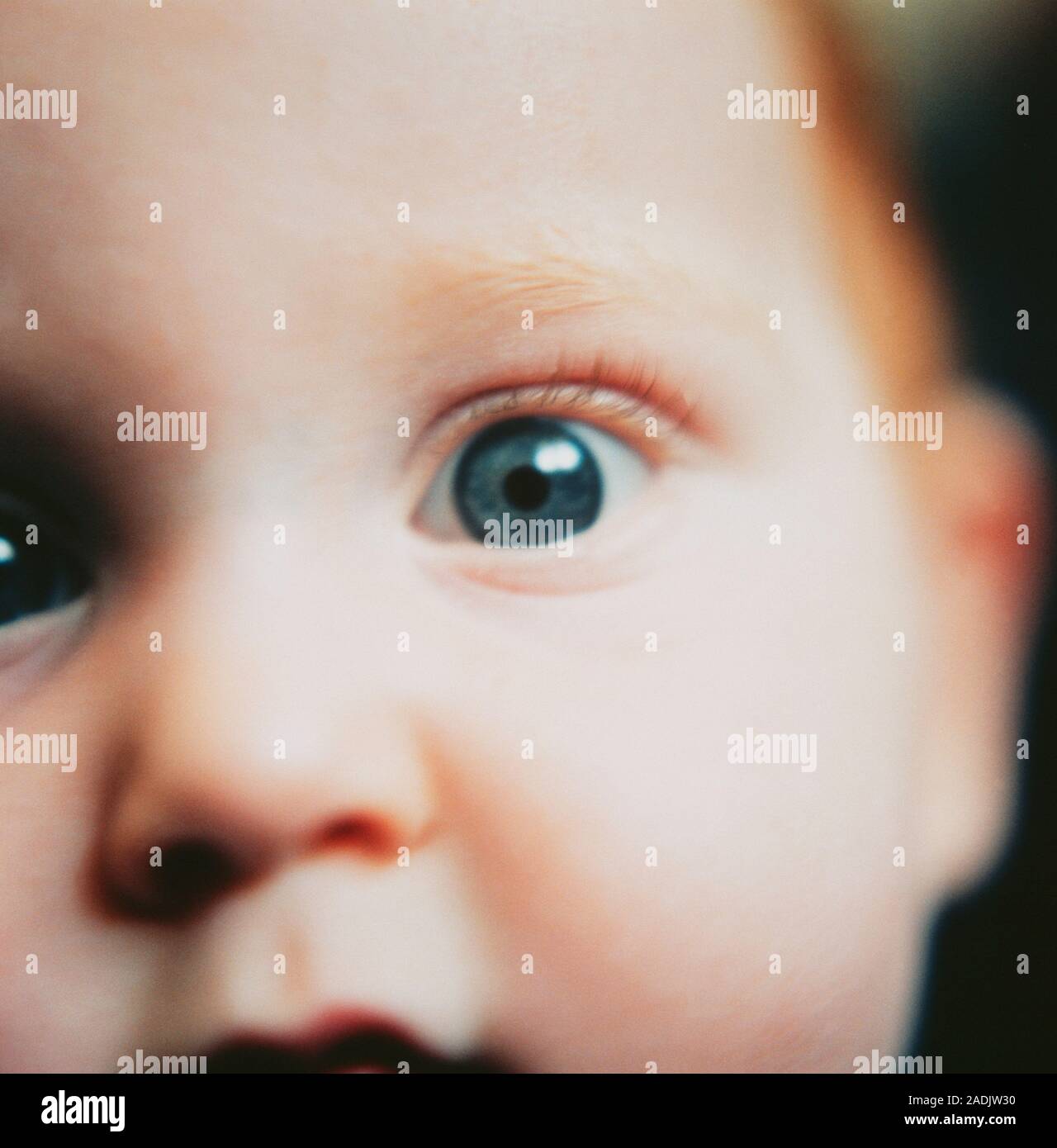 Baby's face. Close-up of the face of a nine-month-old baby boy Stock ...