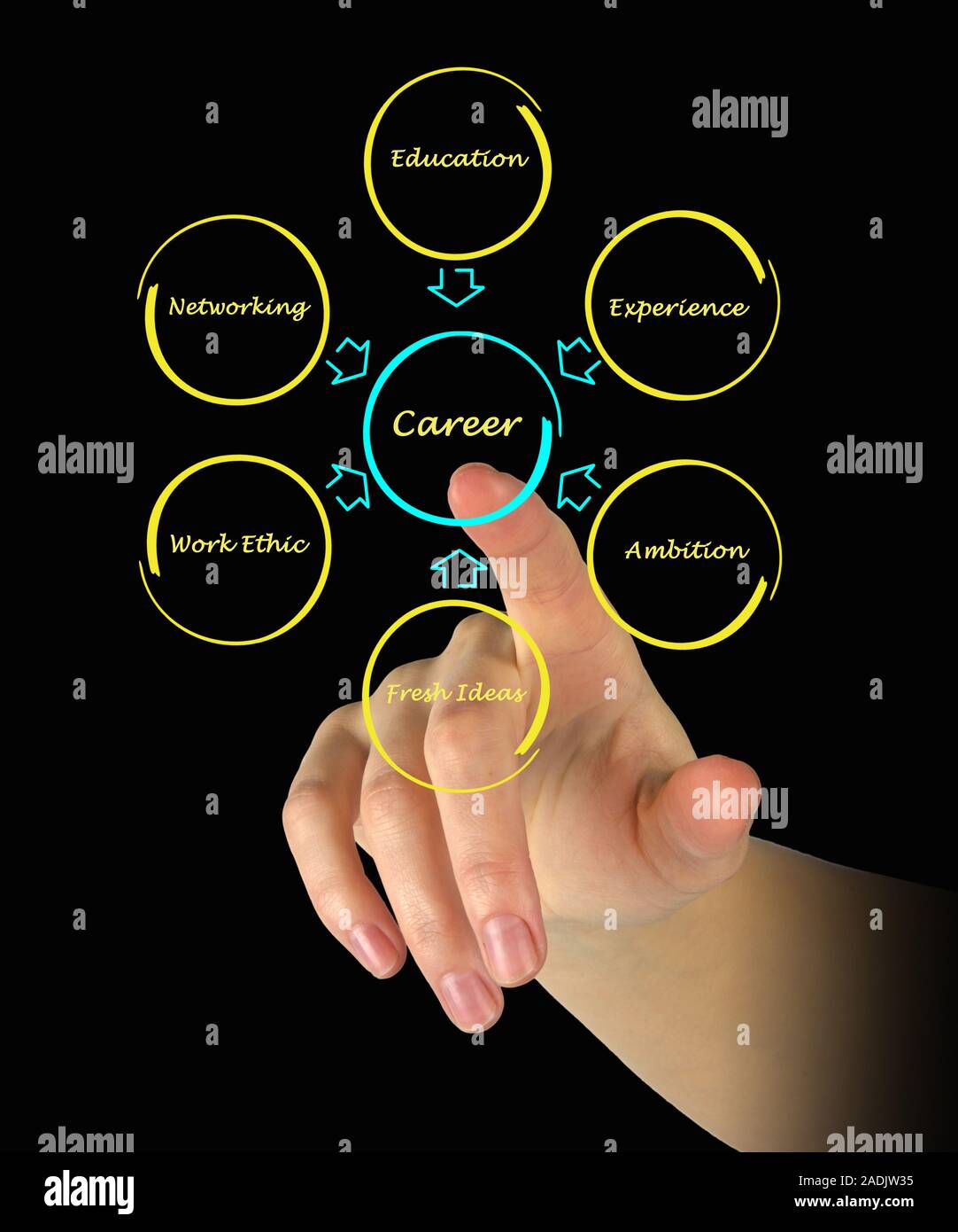 Diagram of career success Stock Photo - Alamy