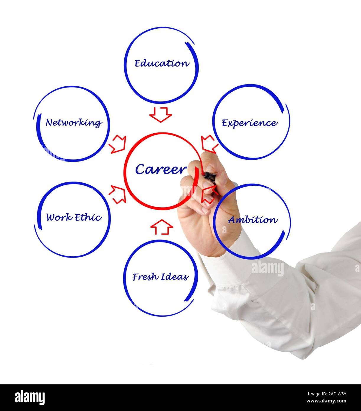 Diagram of career success Stock Photo - Alamy