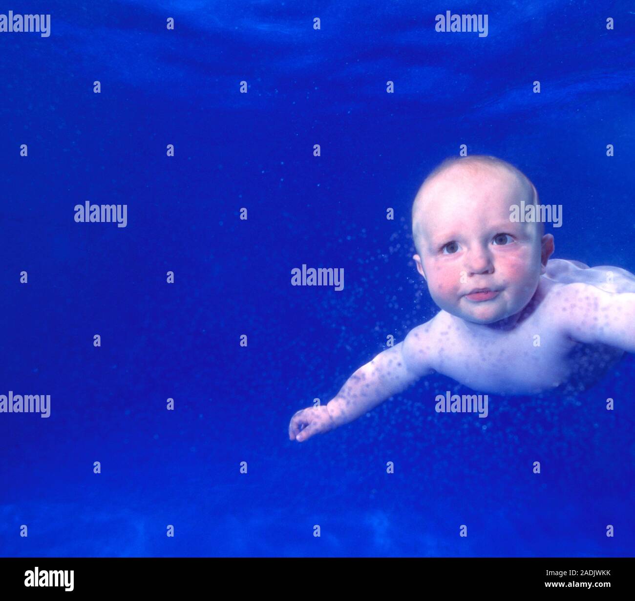 Baby swimming underwater Stock Photo - Alamy