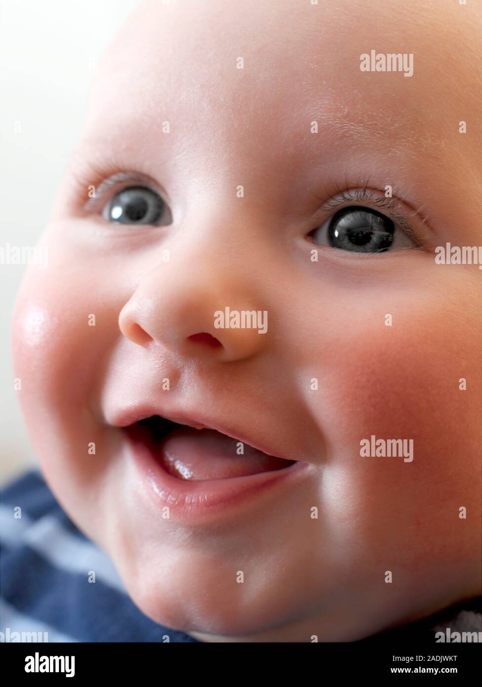 MODEL RELEASED. Baby boy's face. Face of a four month old baby boy ...