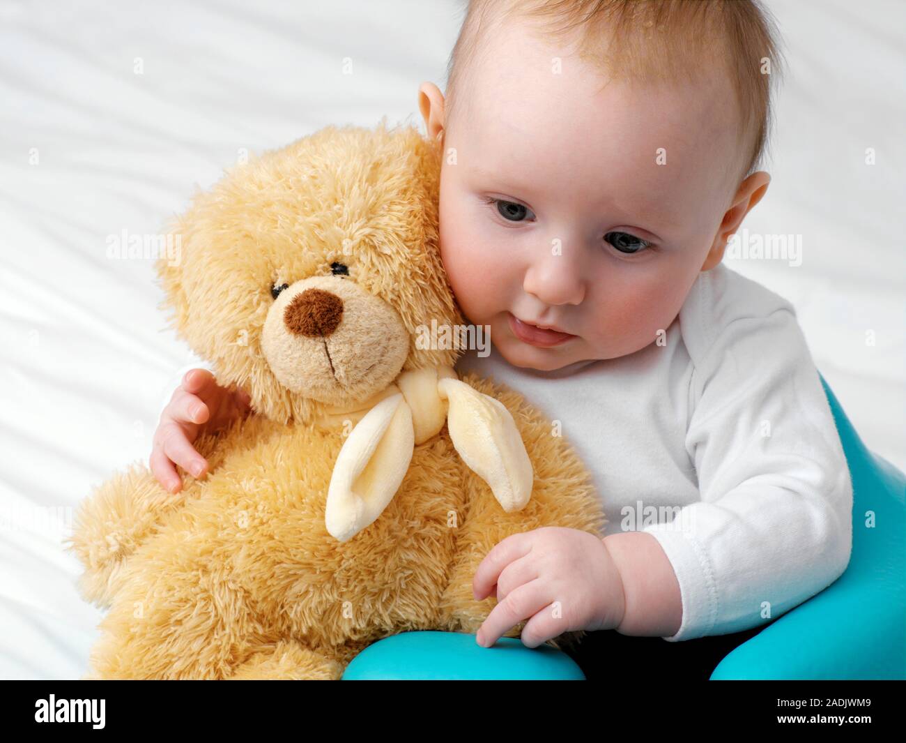 MODEL RELEASED. Baby boy cuddling a teddy bear Stock Photo - Alamy