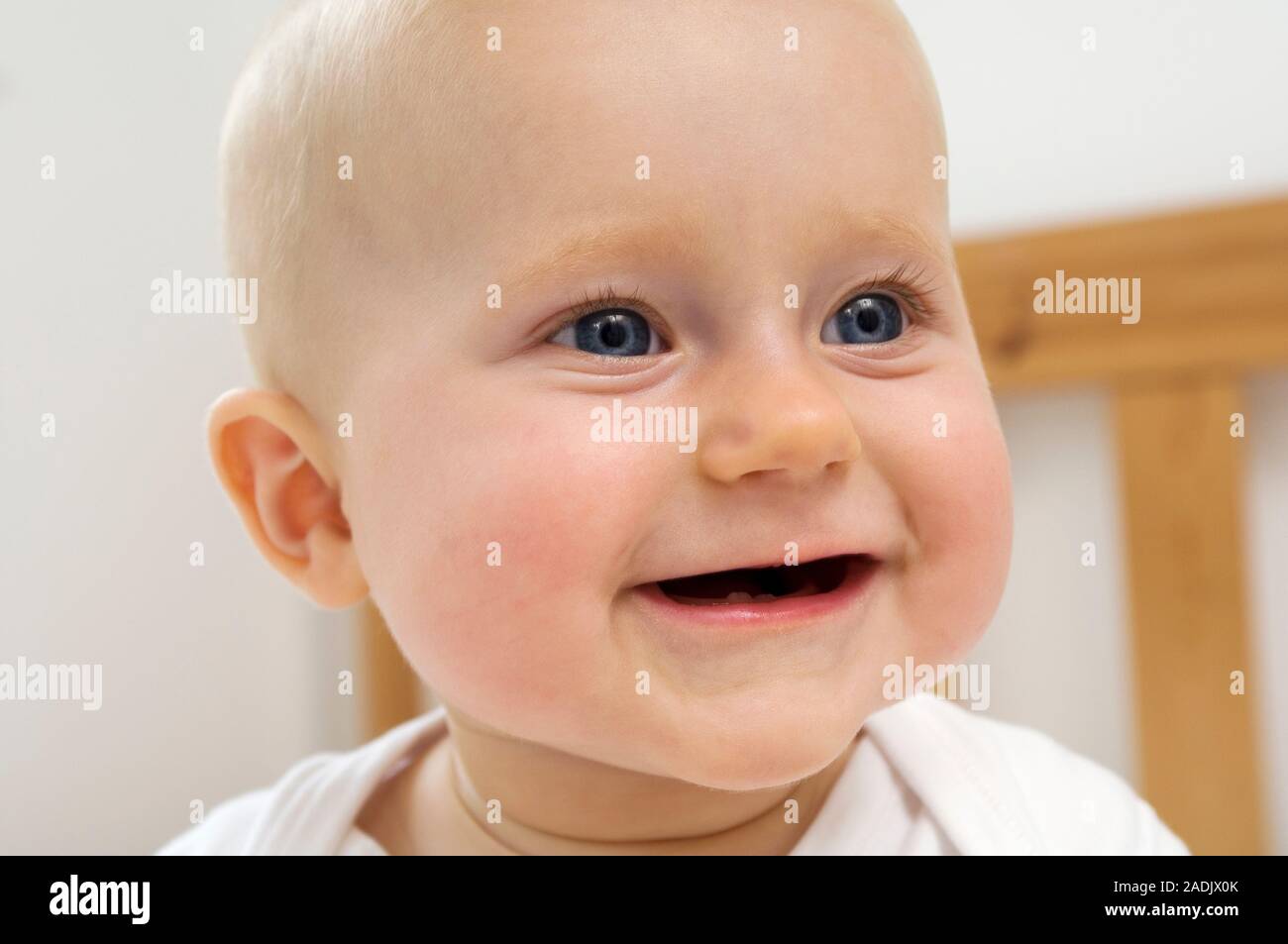 MODEL RELEASED. Smiling baby girl. She is seven months old Stock Photo ...