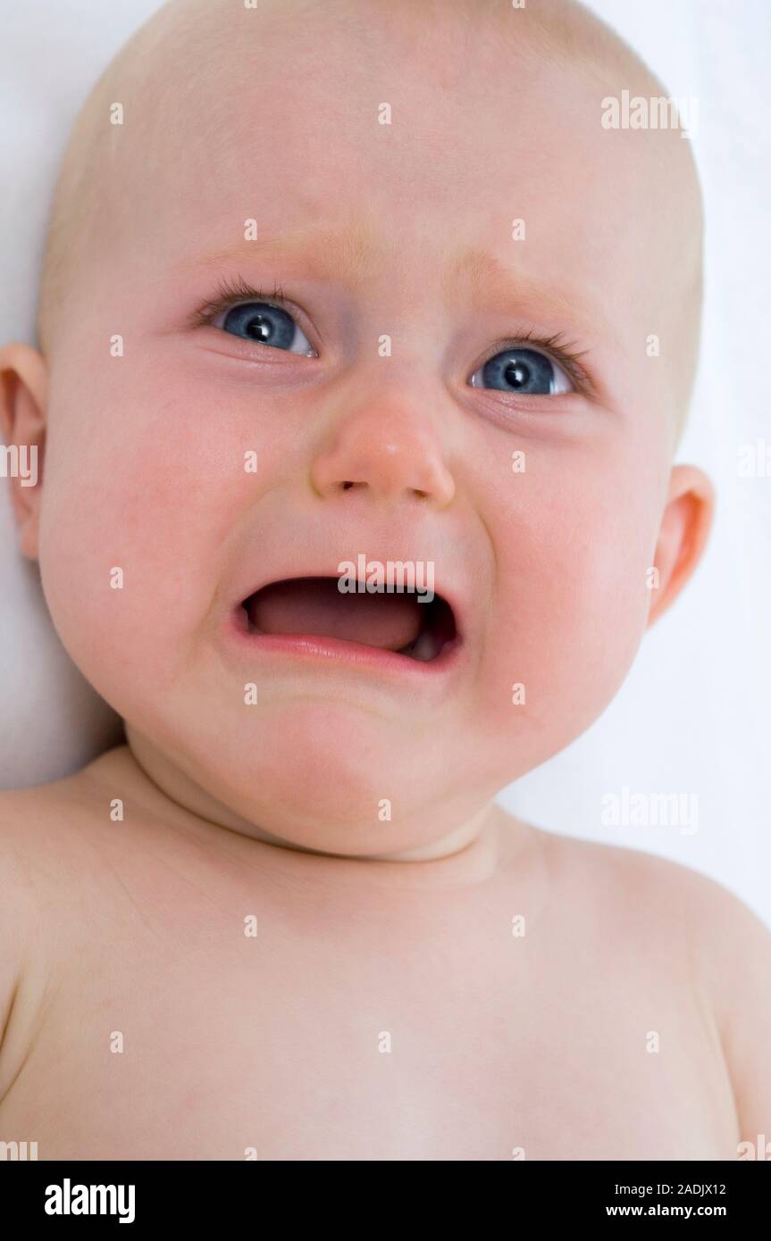 MODEL RELEASED. Crying baby girl. She is seven months old Stock Photo ...