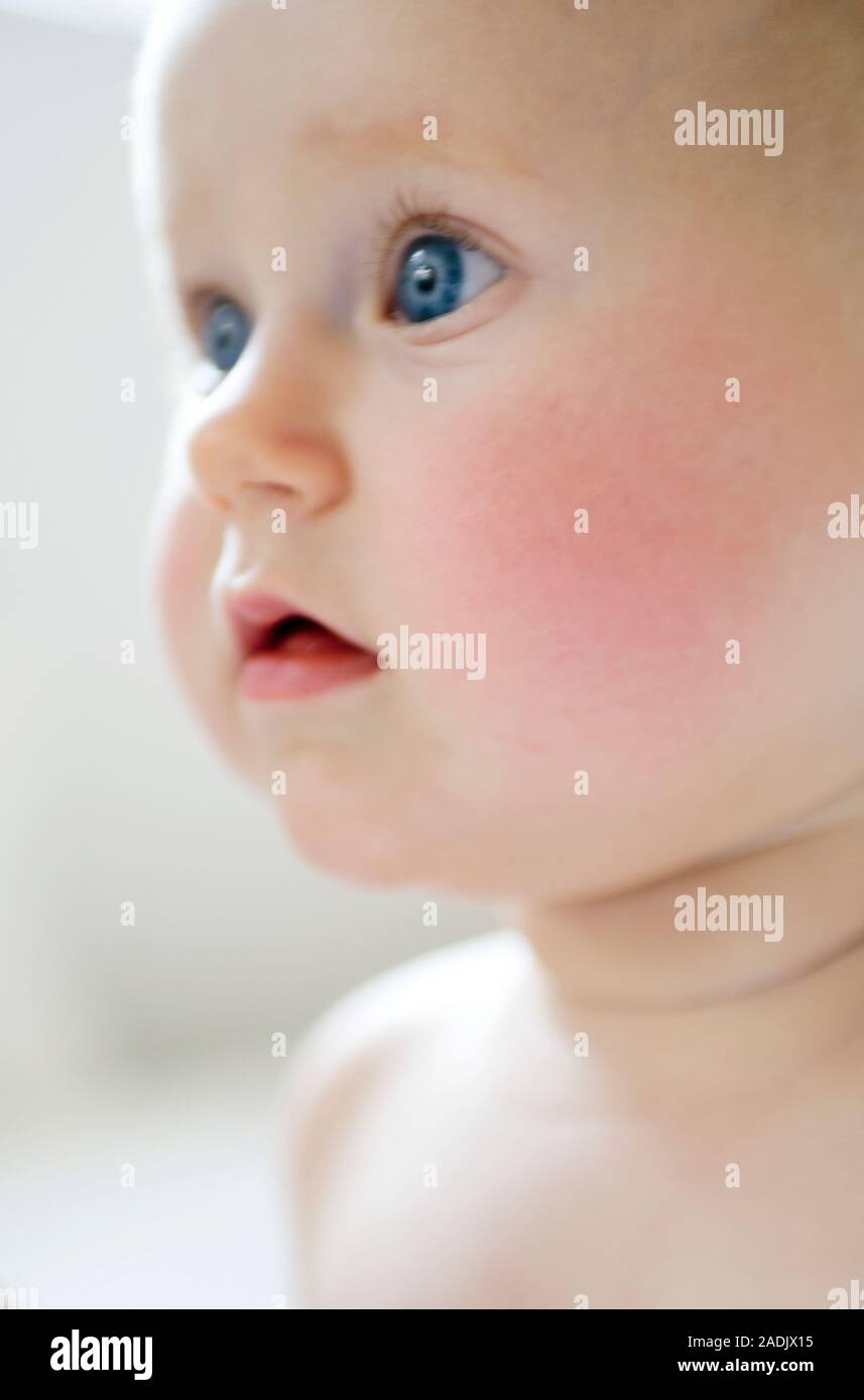 MODEL RELEASED. Baby girl. She is seven months old Stock Photo - Alamy