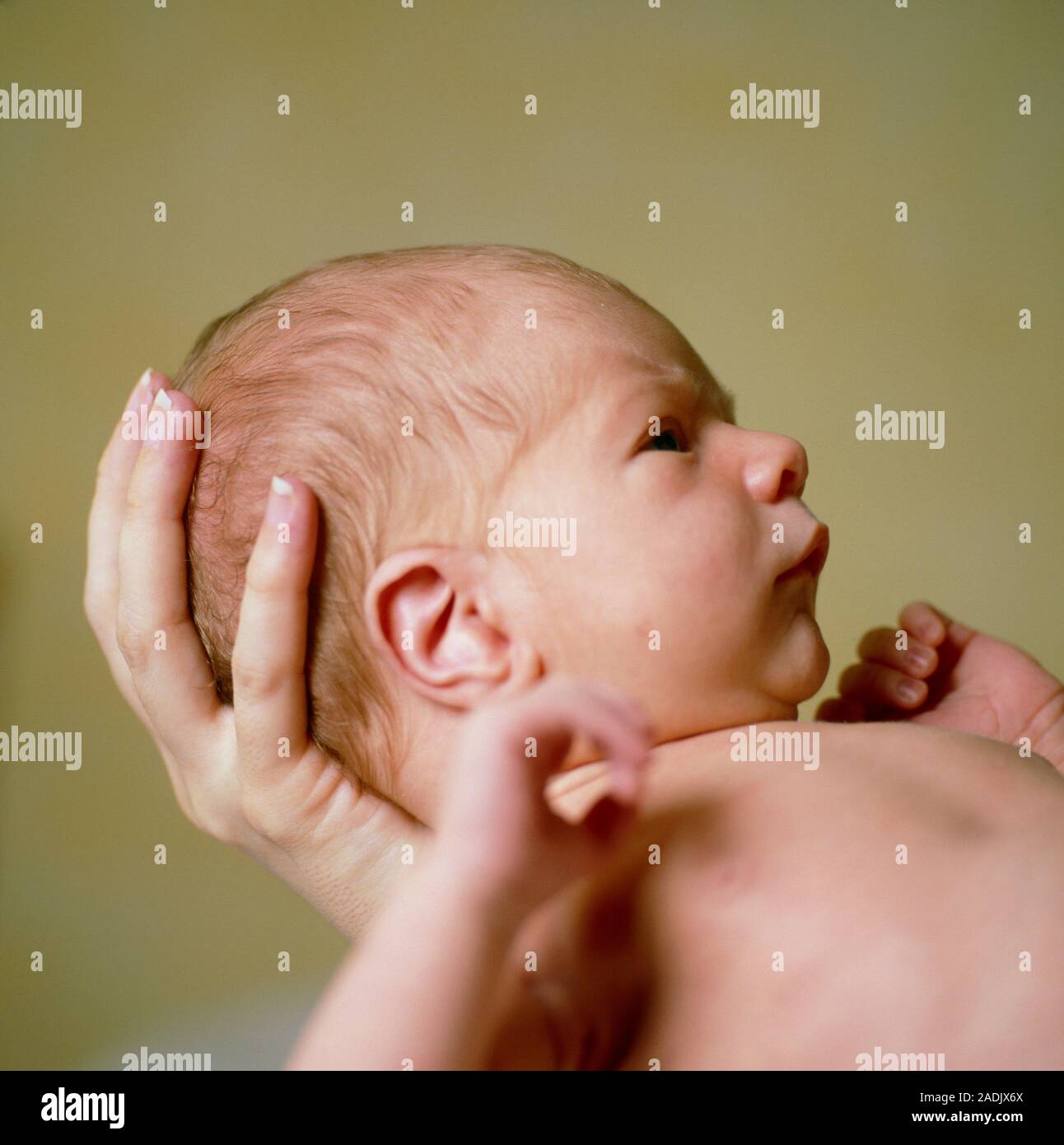 MODEL RELEASED. Newborn baby. Mother cradling her one week old son's ...