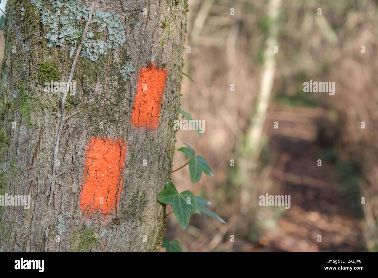 Trail blaze hi-res stock photography and images - Alamy