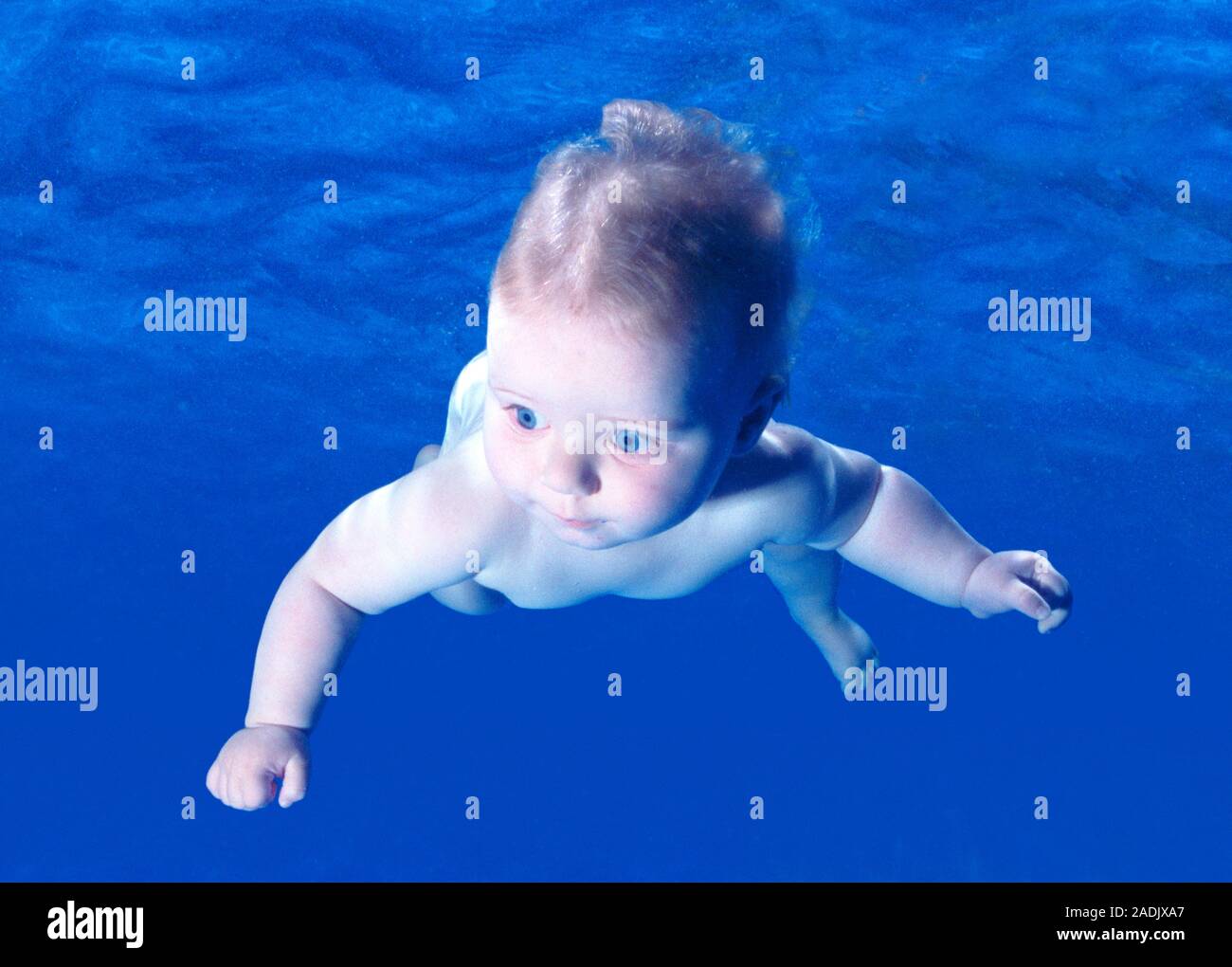 MODEL RELEASED. Baby swimming underwater Stock Photo - Alamy