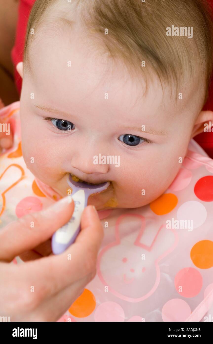 MODEL RELEASED. Spoon-feeding. Five month old girl being spoon-fed ...