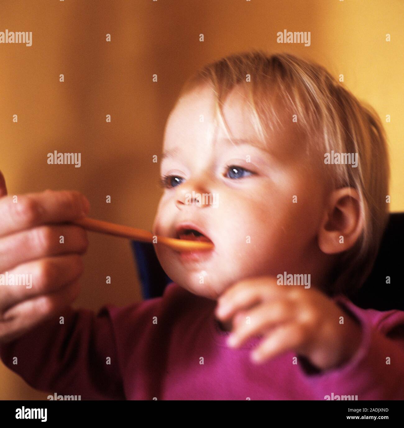 MODEL RELEASED. Spoon-feeding. One year old girl being spoon-fed Stock ...