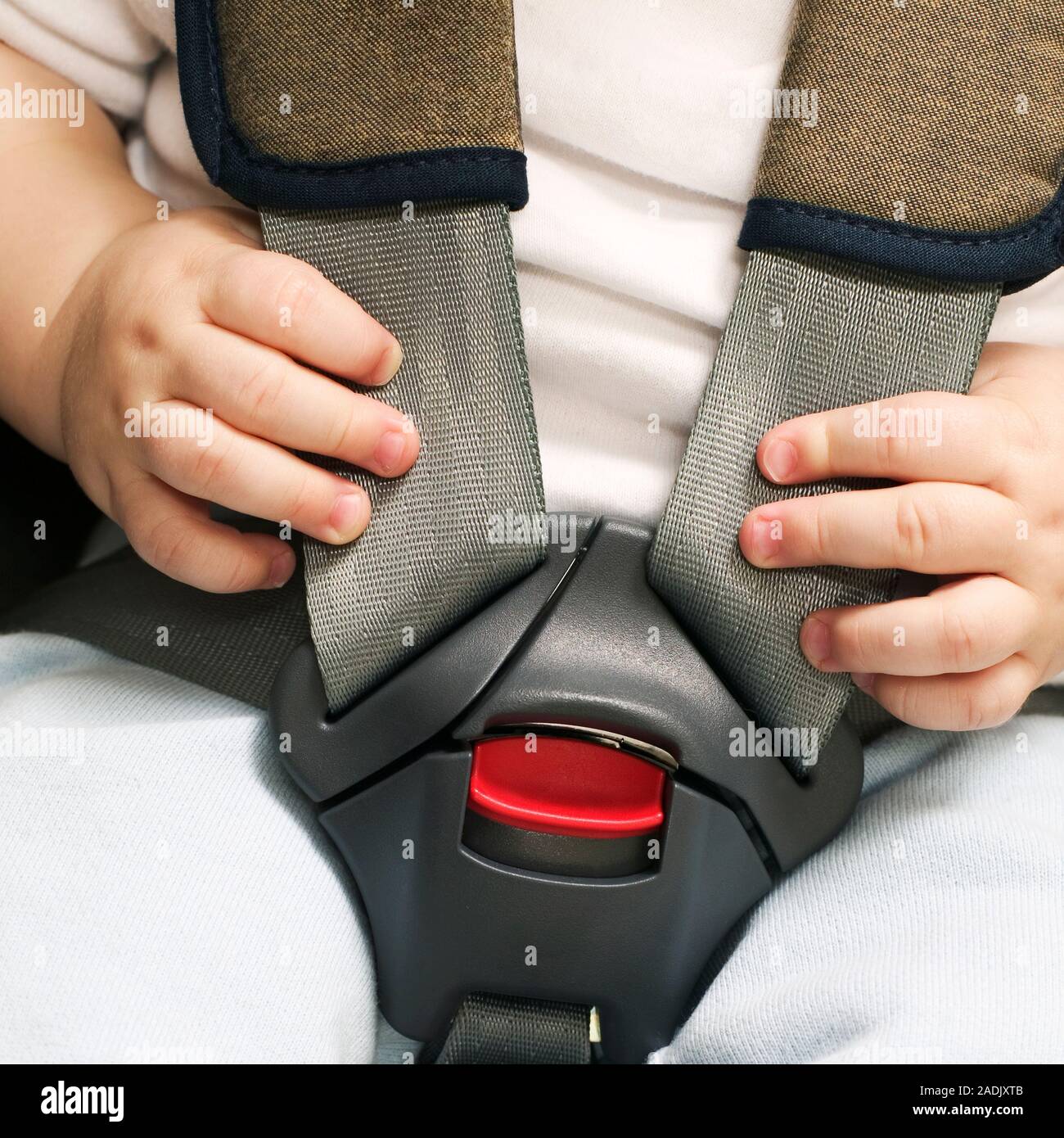 MODEL RELEASED. Child safety belt. Three-point harness in a child's car ...