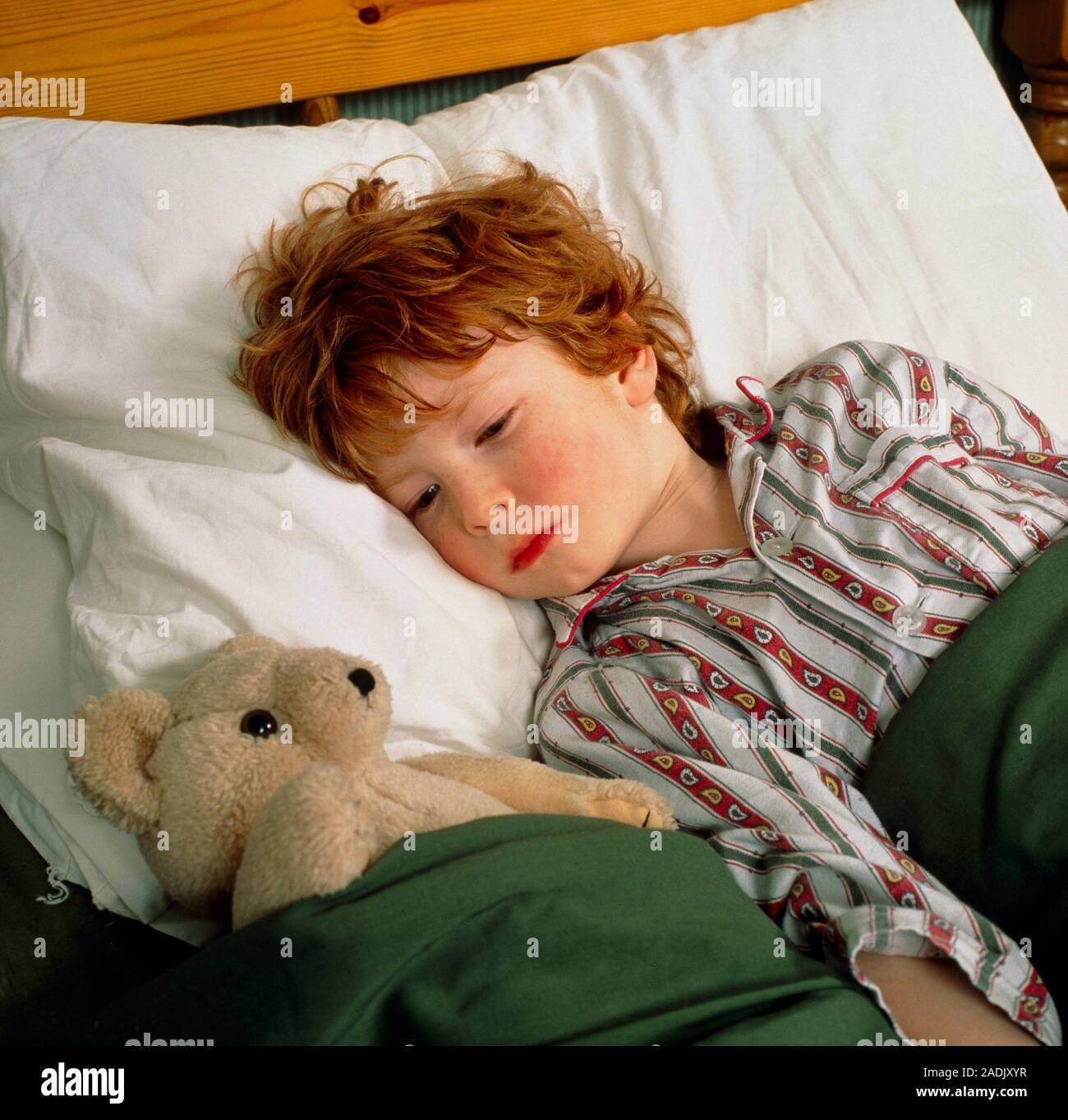 Feverish child. A young boy suffering fever lies in bed with his teddy ...