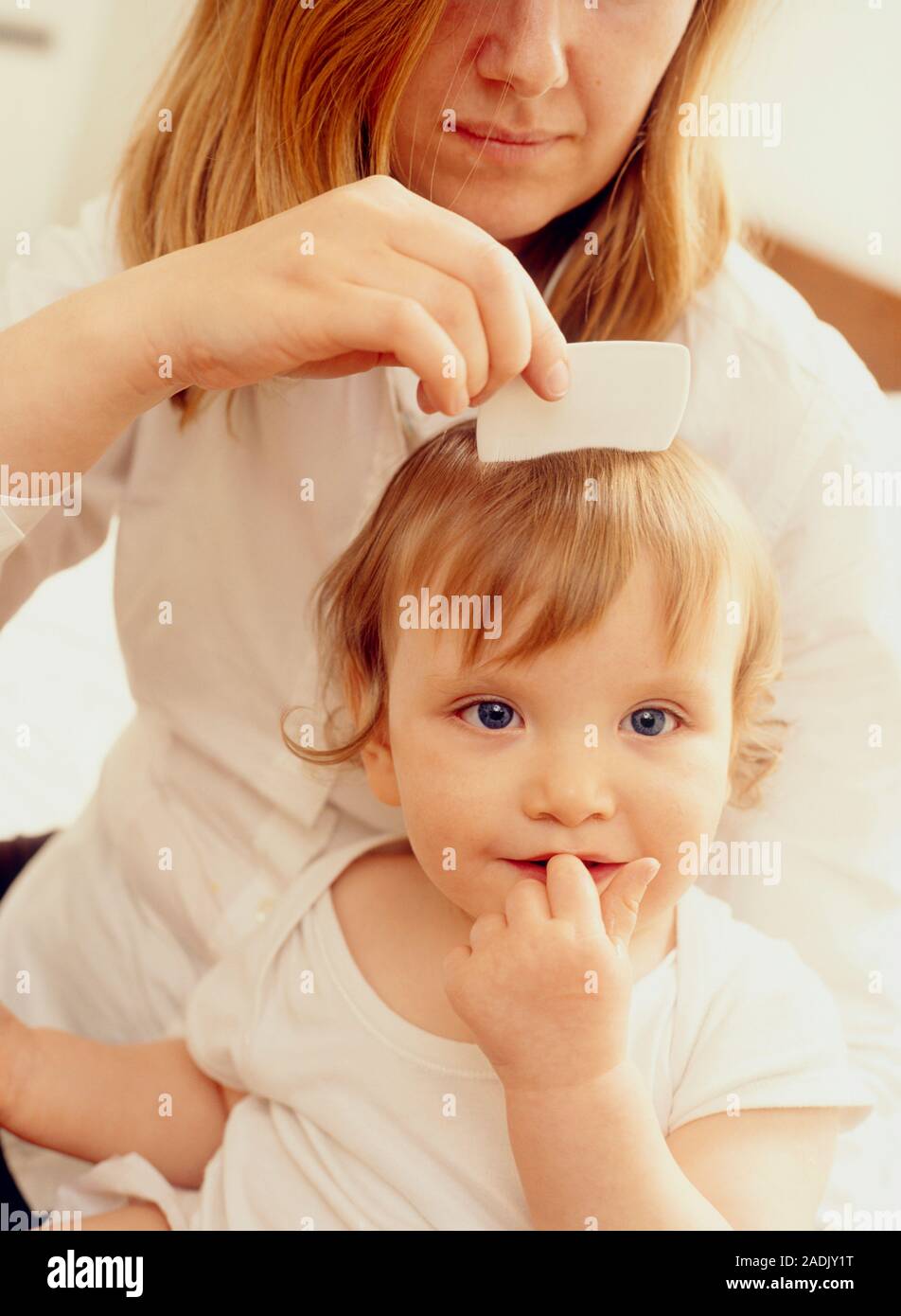 Head lice comb. 16-month-old baby boy's hair being combed for head lice ...