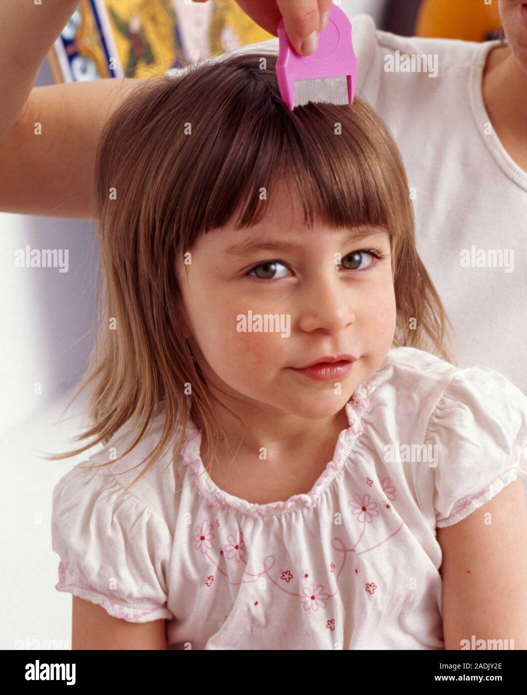 Removing head lice. Young girl having her hair brushed with a nit comb ...