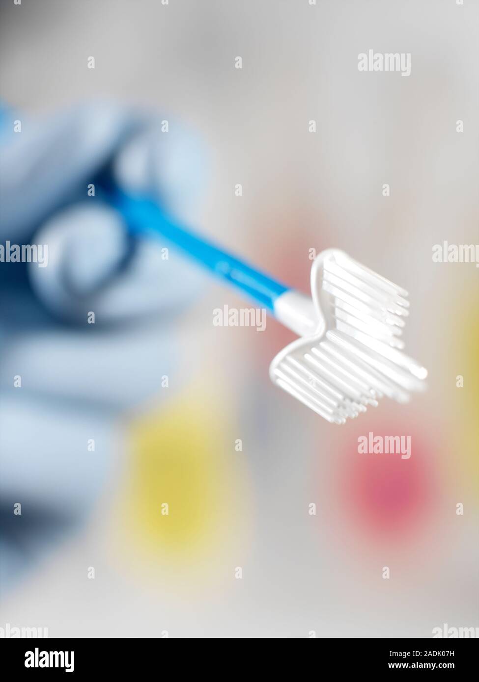 Smear test equipment. Cytobrush used during a smear test. A cytobrush ...