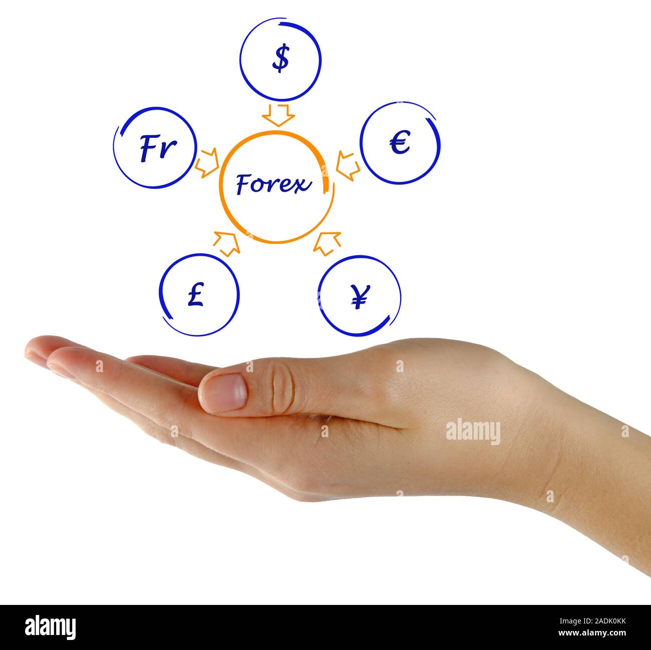 Forex Cut Out Stock Images & Pictures - Alamy