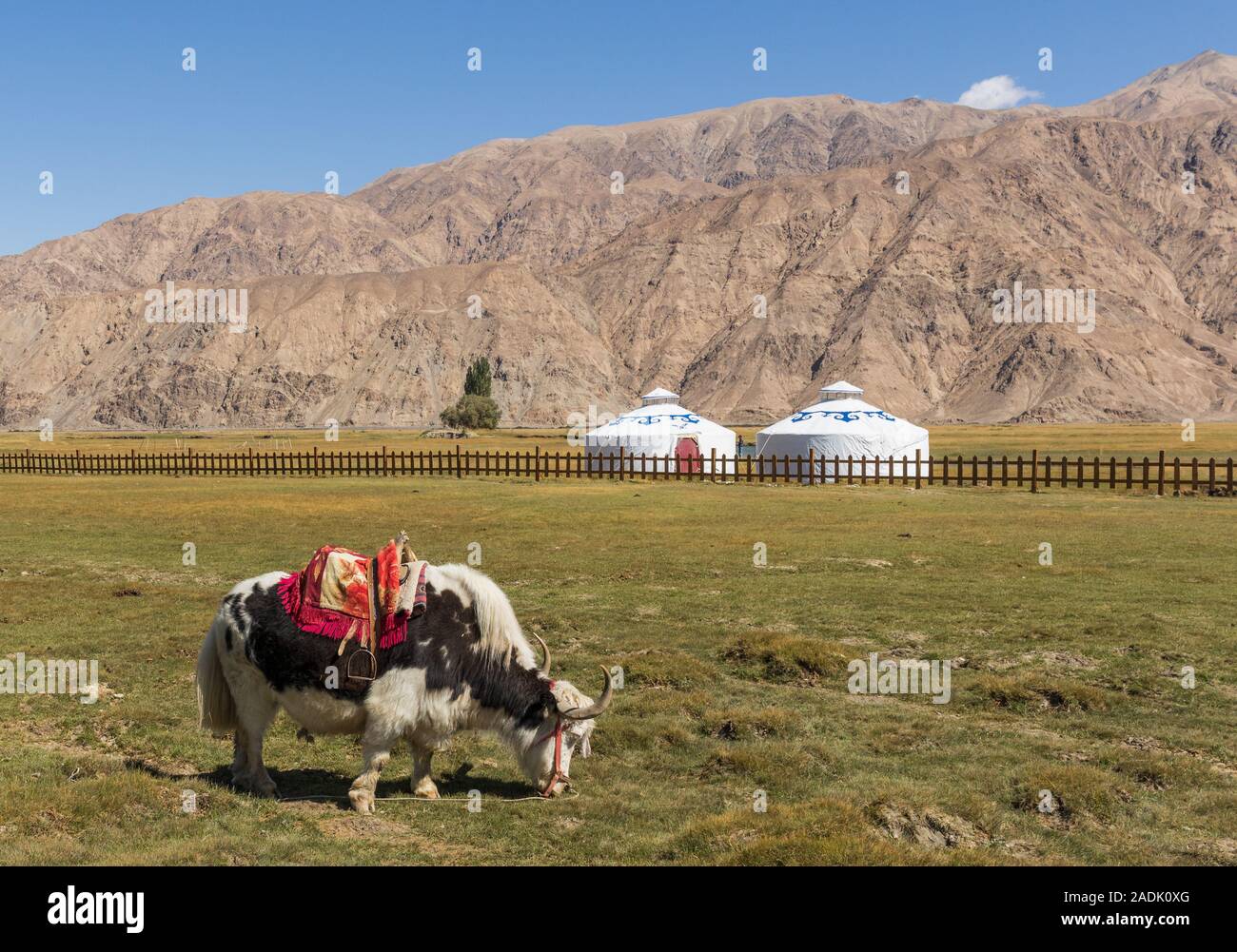 Yak milk products hi-res stock photography and images - Alamy
