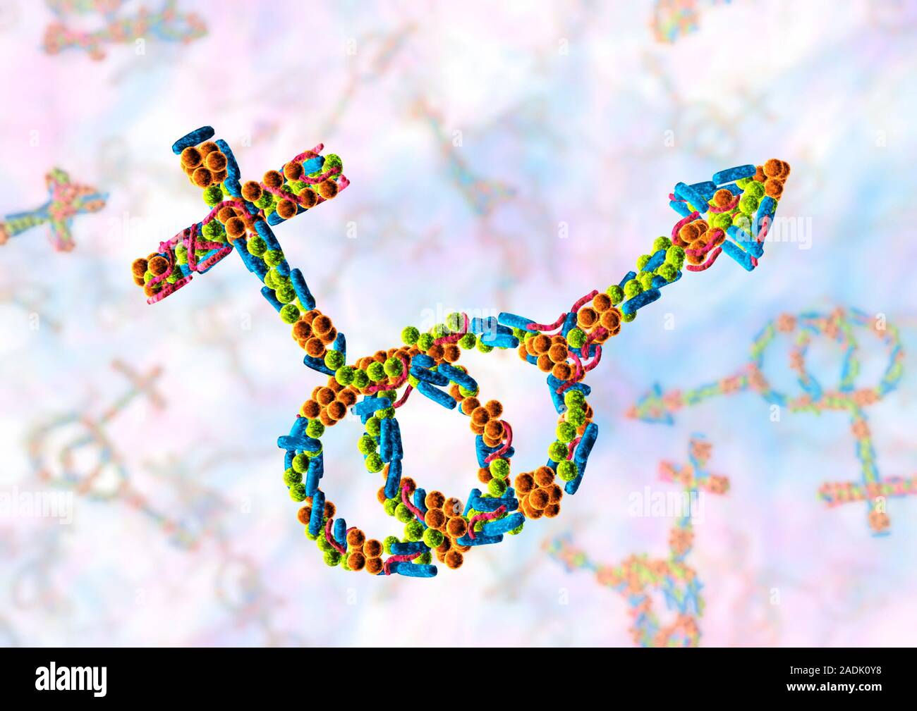 Sexually transmitted diseases (STDs). Conceptual image of STDs ...