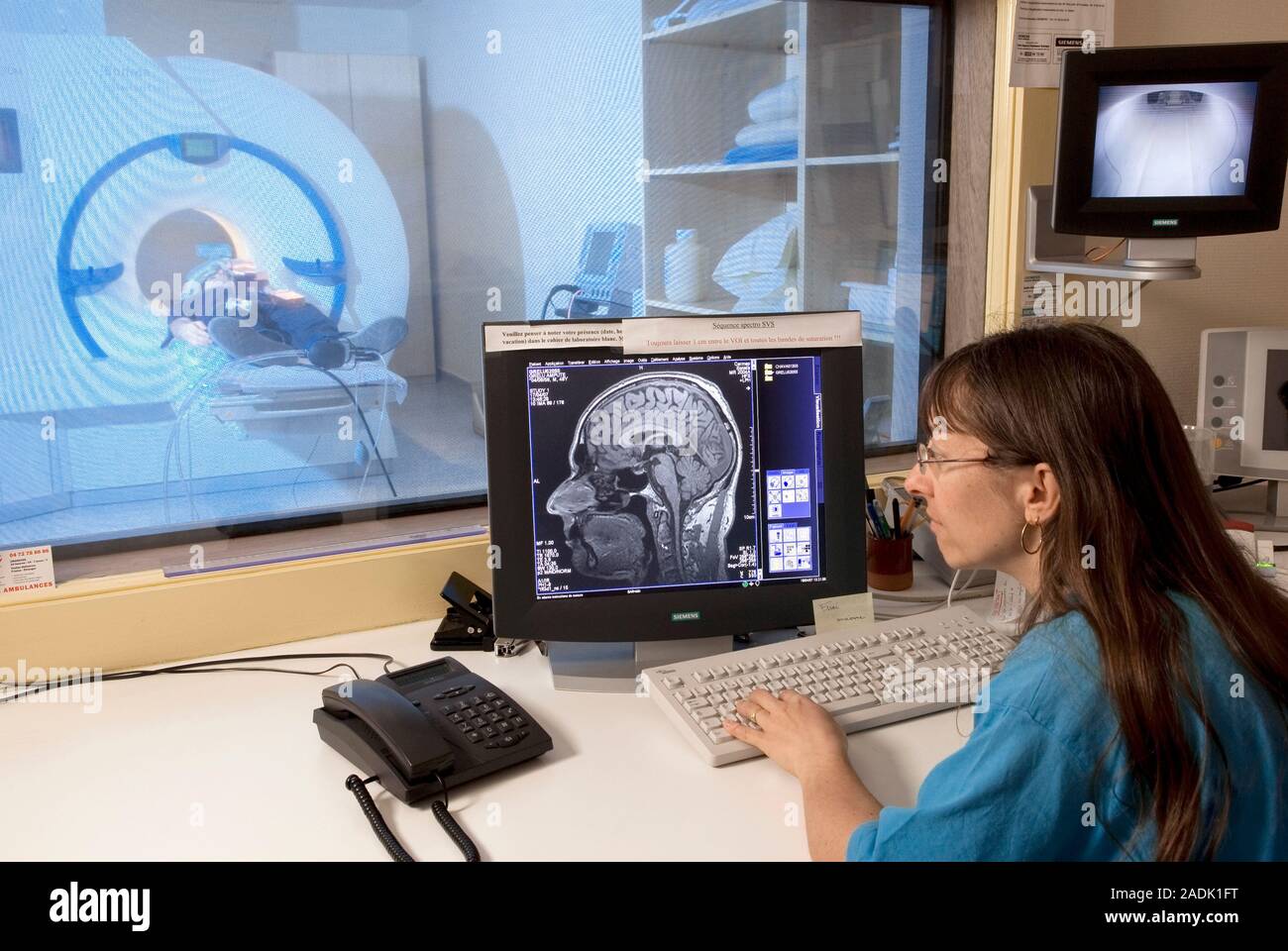 Tongue Display Unit research. Functional magnetic resonance imaging ...